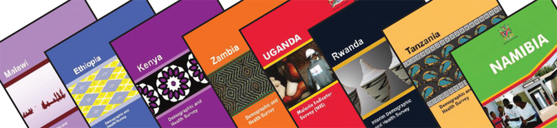 Reading DHS Tables in 4 Easy Steps - The DHS Program Blog