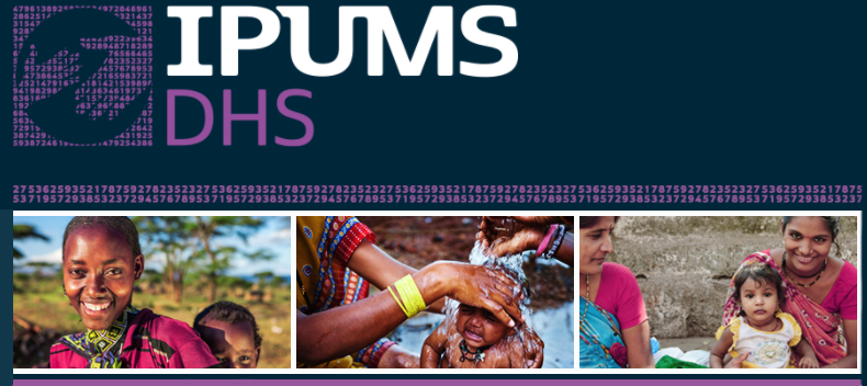 IPUMS-DHS Archives - The DHS Program Blog