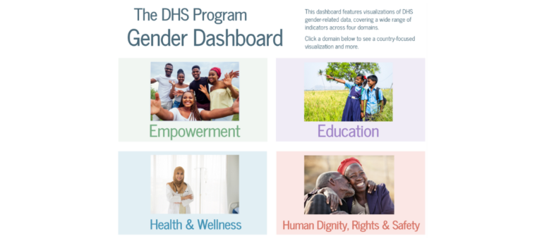 Gender Dashboard: Explore DHS Gender-related Data Across a Wide Range ...