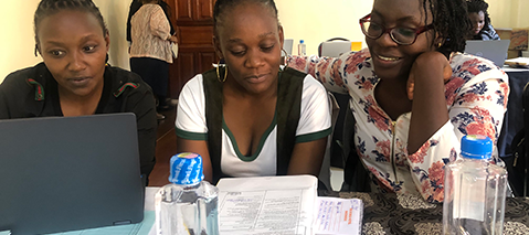 Luminare: Piloting the Revised SPA - The DHS Program Blog