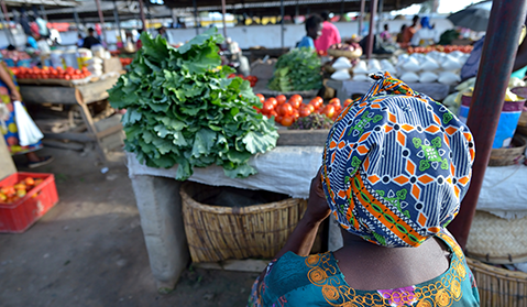 New Online Course: Introduction to DHS Nutrition Indicators - The DHS ...