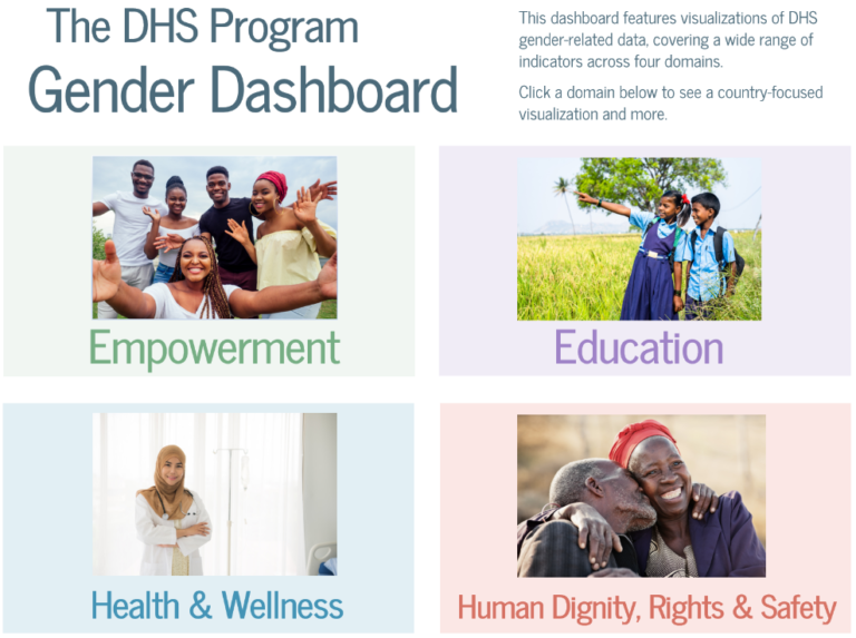 Gender Dashboard: Explore DHS Gender-related Data Across a Wide Range ...